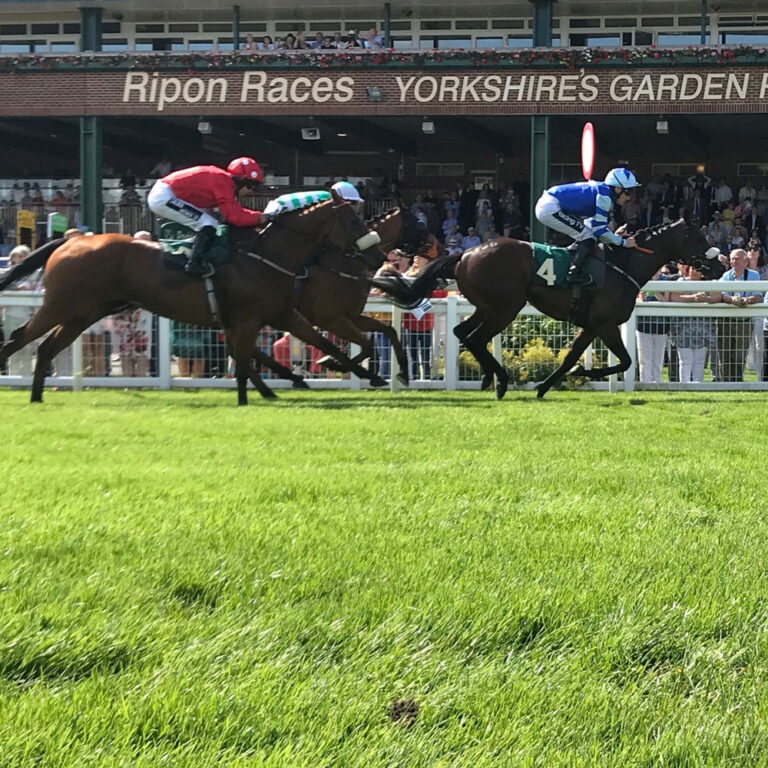 About the Area – Richmond Hill Farm